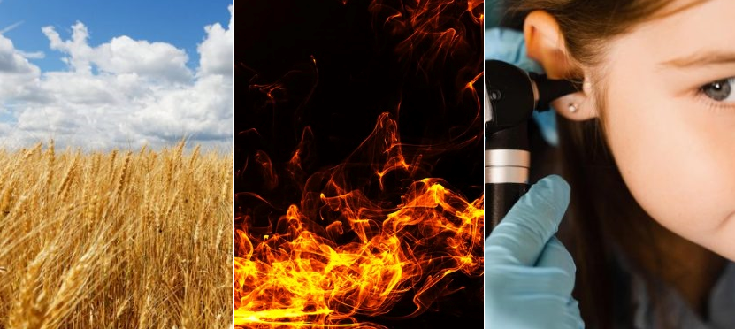 Accueil | SSPF Formations